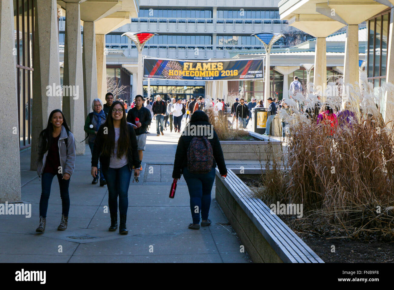 University of chicago campus hi-res stock photography and images - Alamy