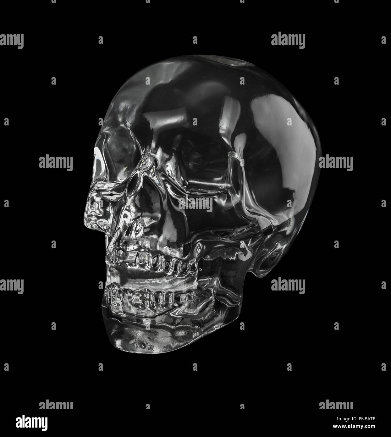 crystal head skull isolated dicut with clipping path Stock Photo - Alamy