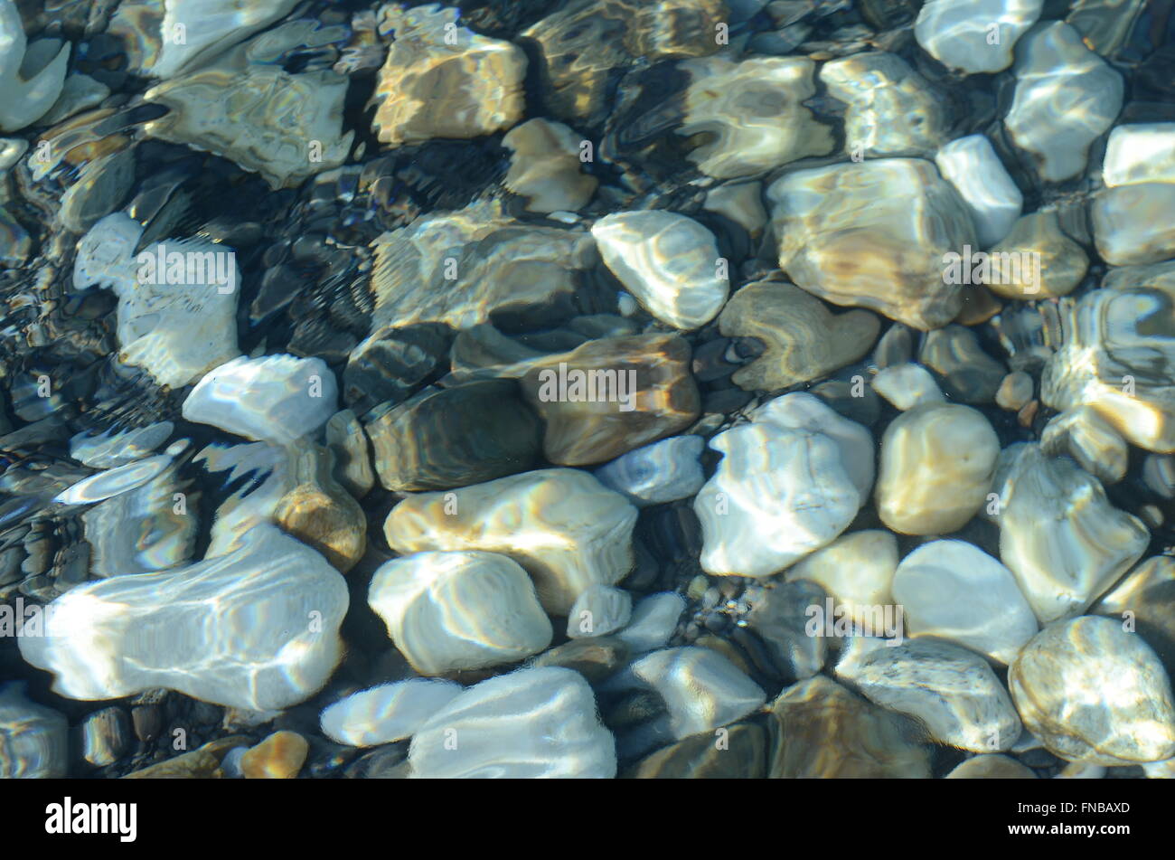 Photography of nature in the open space Stock Photo - Alamy