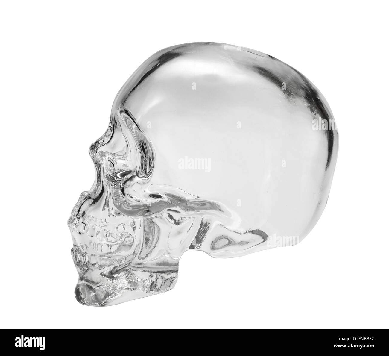 crystal head skull isolated dicut with clipping path Stock Photo - Alamy