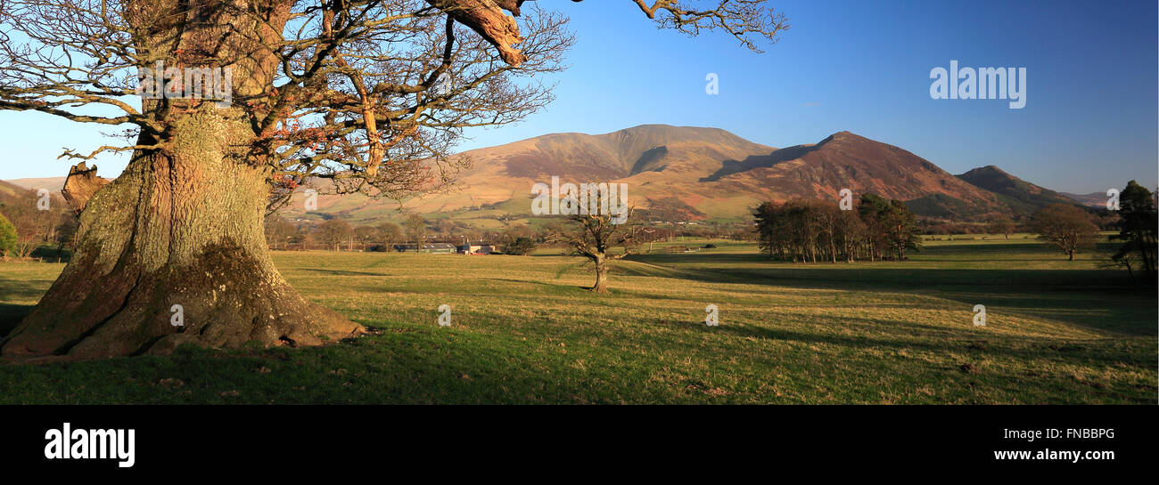 Spring view over Skiddaw fell, near Keswick town, Lake District ...