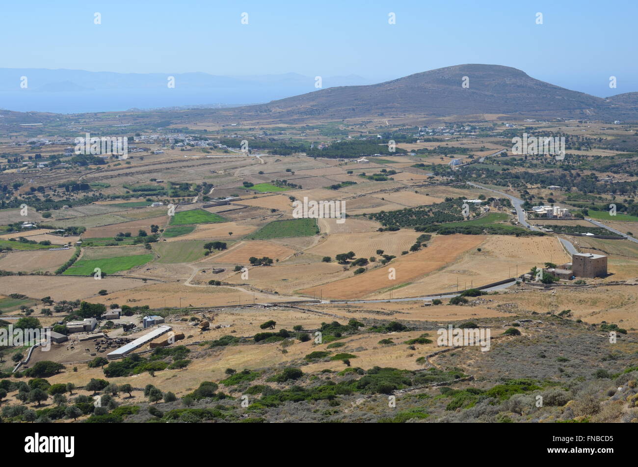 Photography of nature in the open space Stock Photo - Alamy