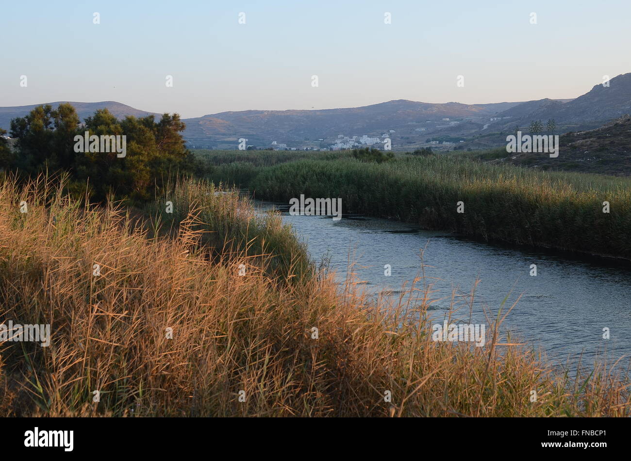 Photography of nature in the open space Stock Photo - Alamy