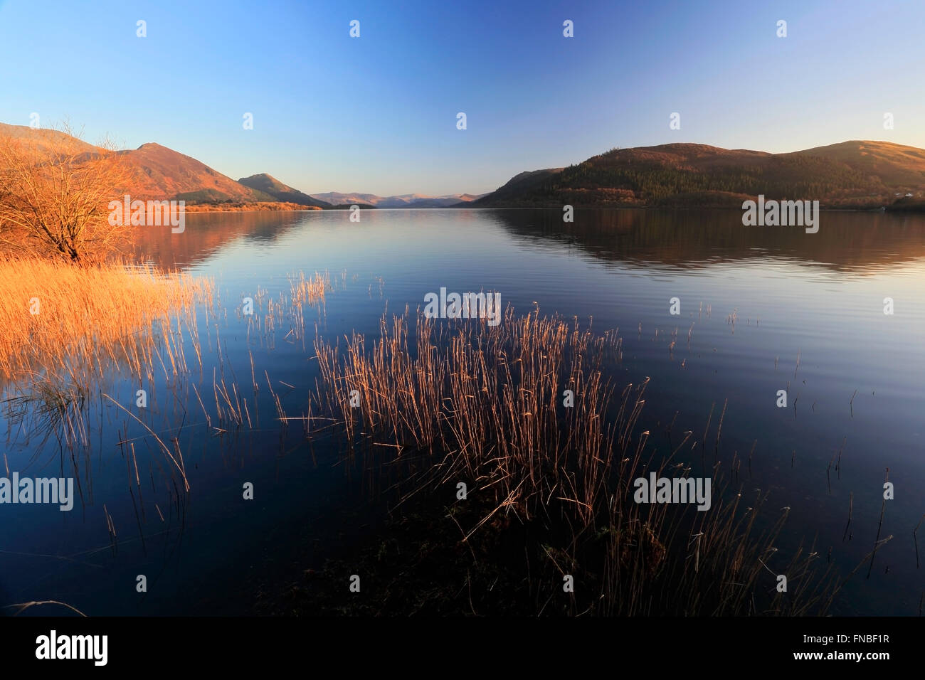 Spring lake district walking uk hi-res stock photography and images - Alamy