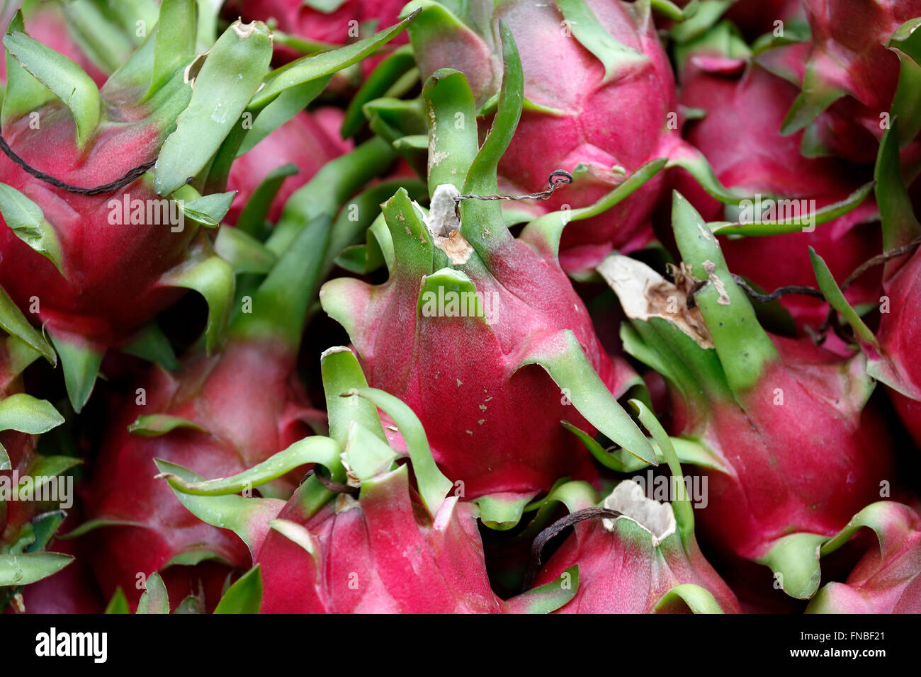 Dragon fruit, market, Hoi An, Vietnam Stock Photo - Alamy
