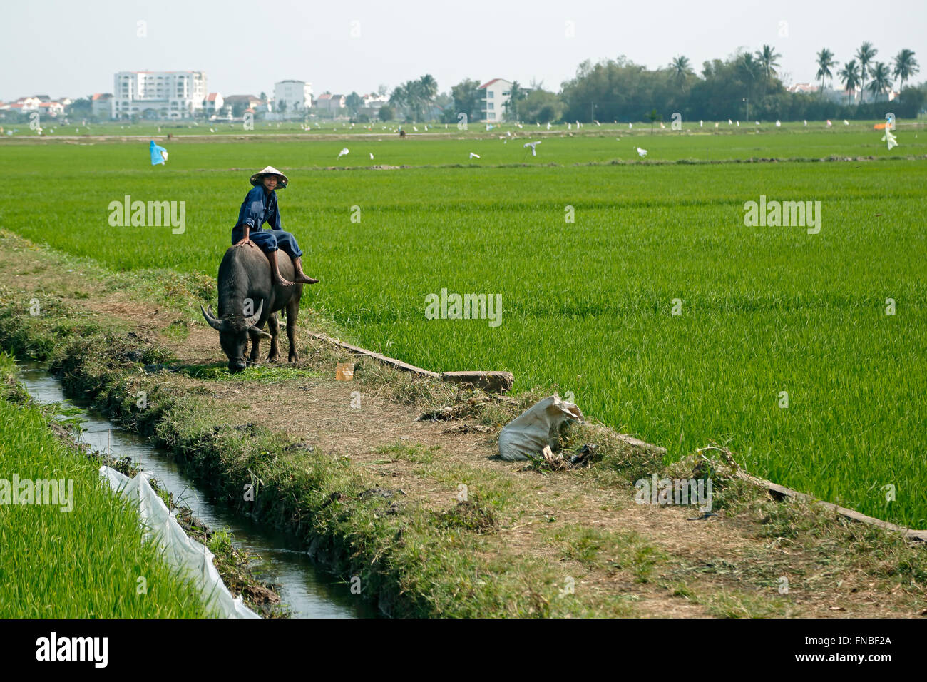 People sitting by the water hi-res stock photography and images - Alamy