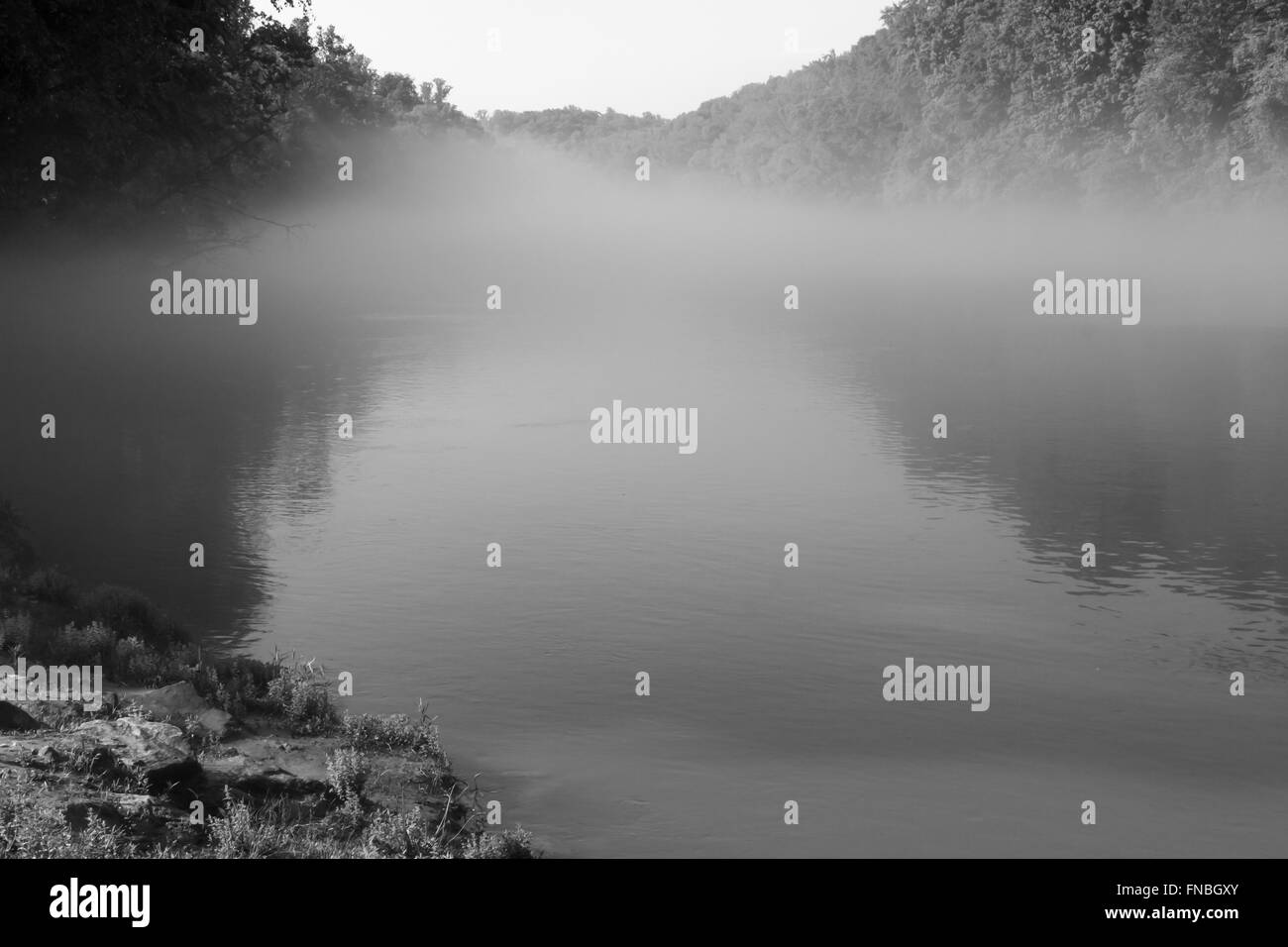 River fog early morning on the Chattahoochee river Stock Photo - Alamy