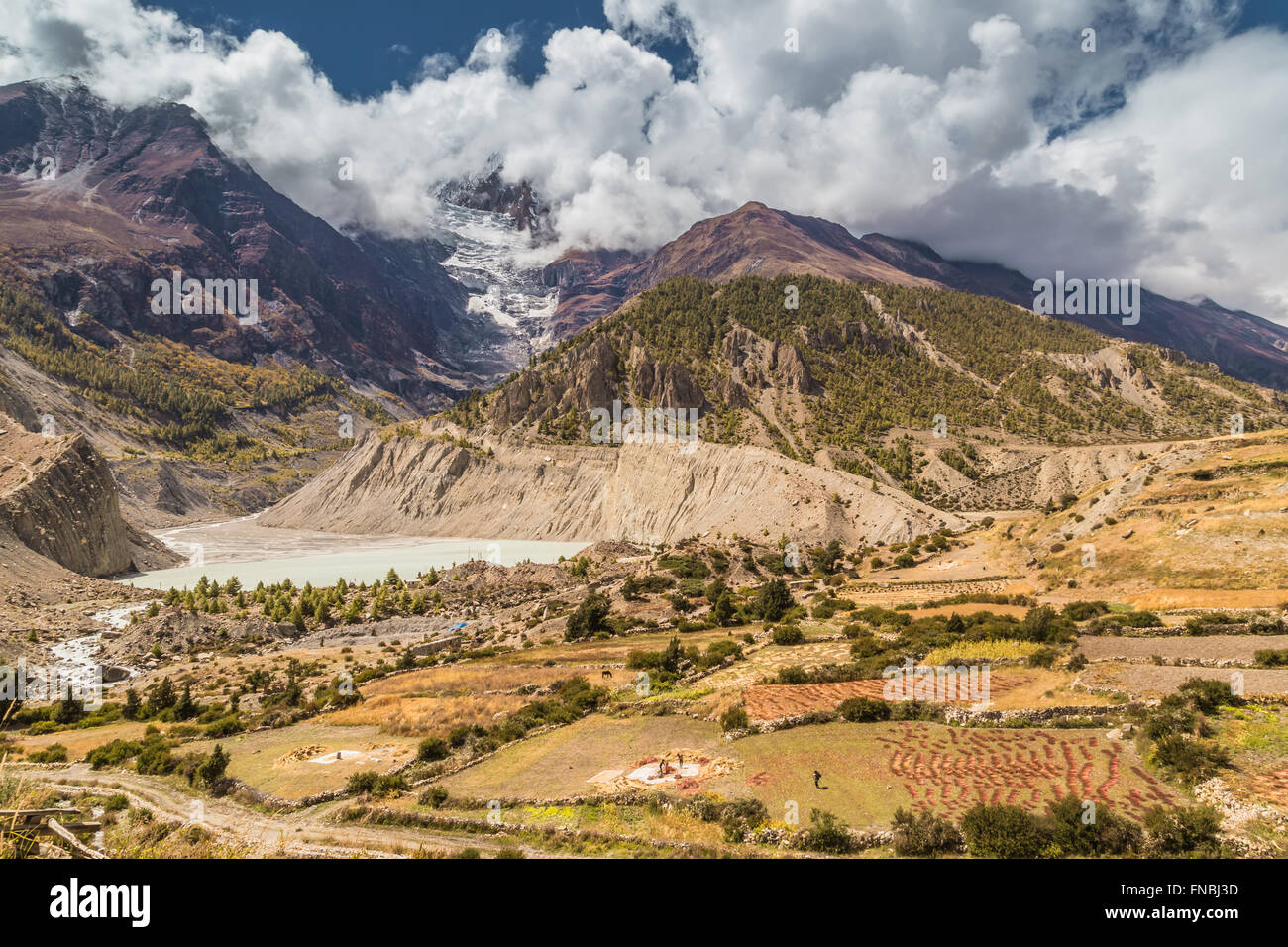 Manang town hi-res stock photography and images - Alamy