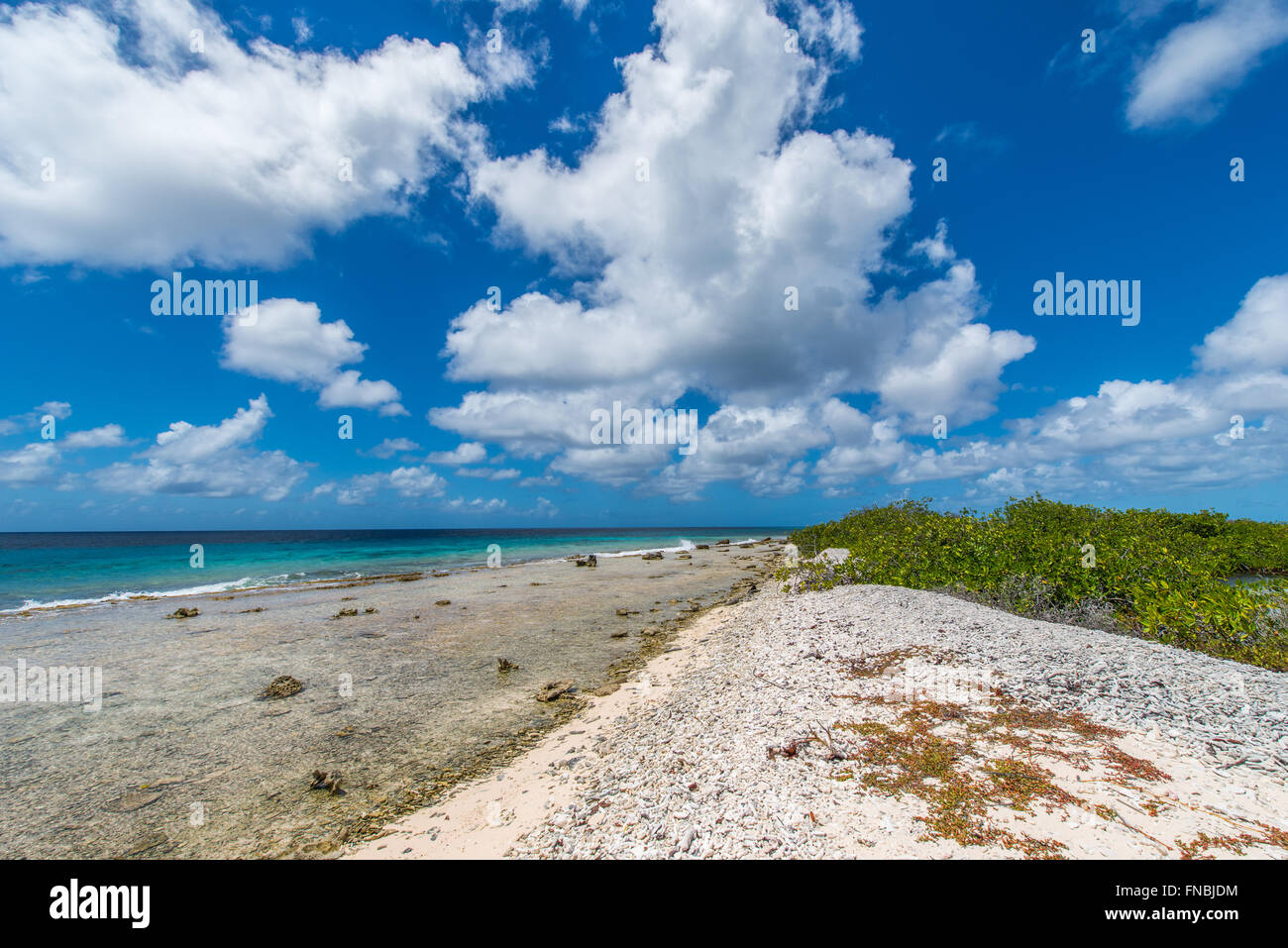 Lovely Bonaire with his beautiful landscapes, beaches and amazing reefs ...