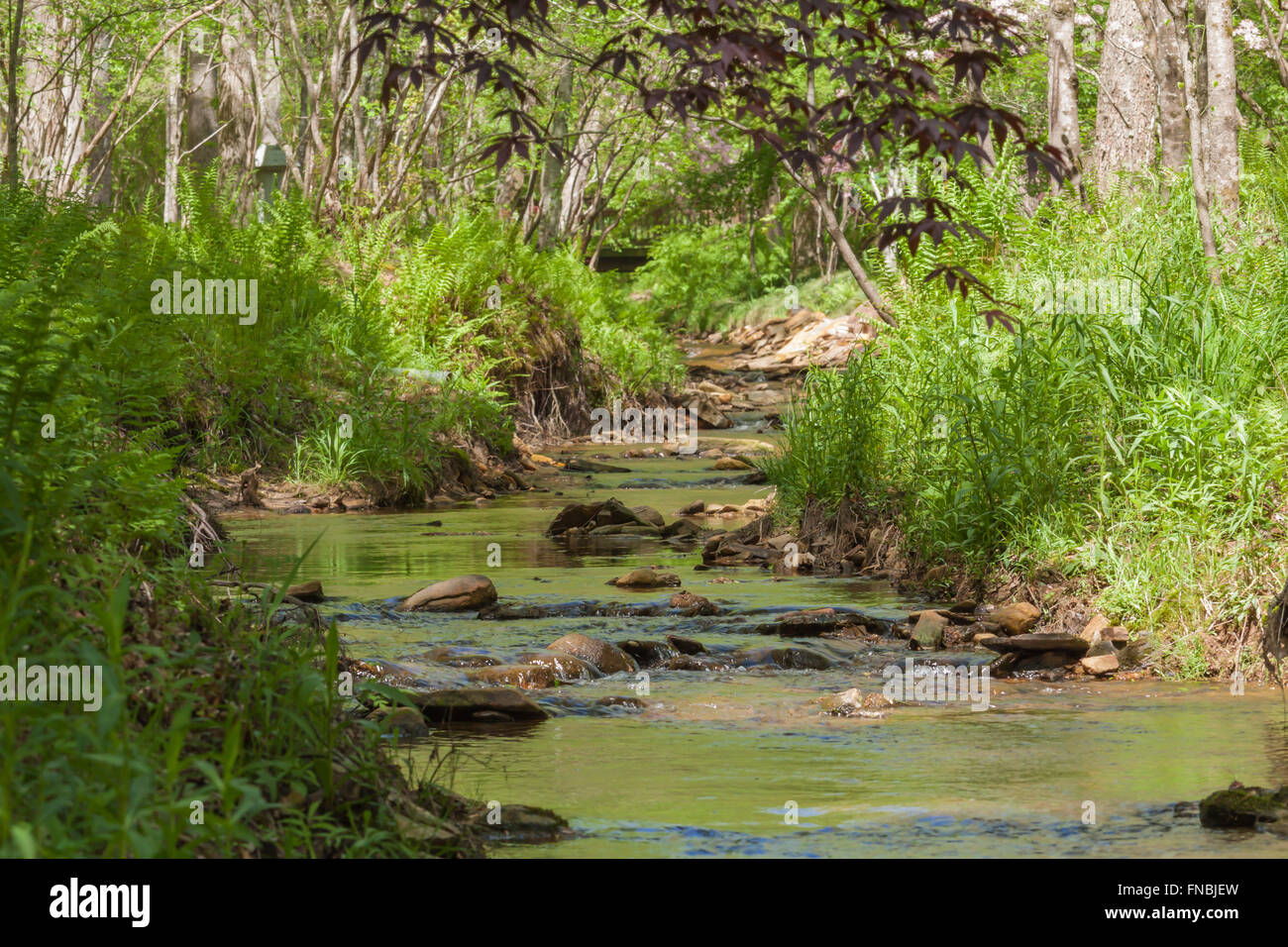 Southeast brook hi-res stock photography and images - Alamy