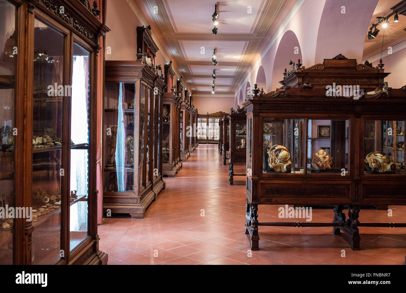 Naples, Italy. 14th Mar, 2016. Anatomical Museum, the second oldest ...