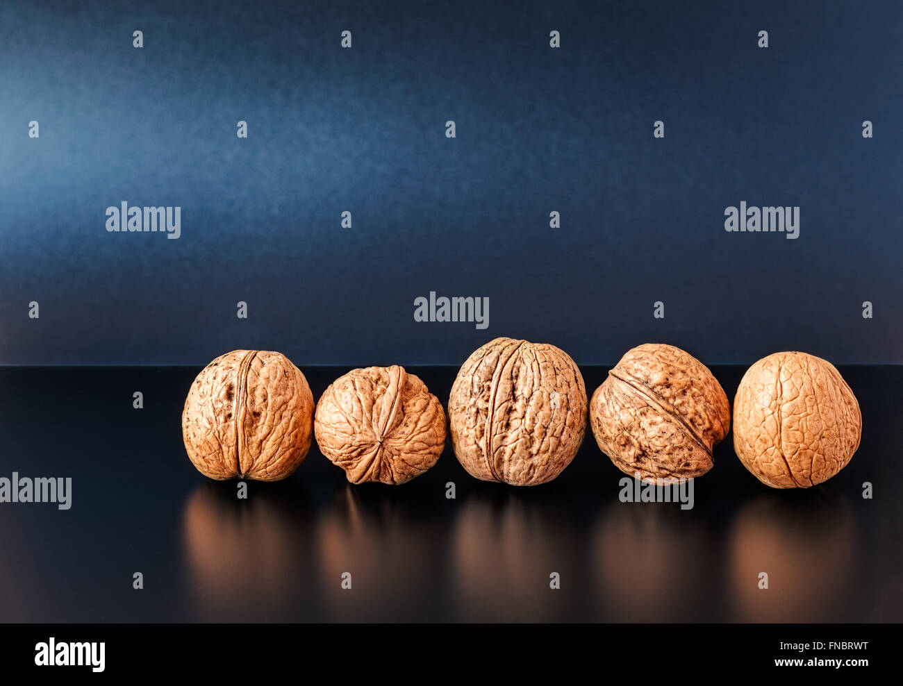 Five walnuts in a row on a dark table against a dark blue background ...