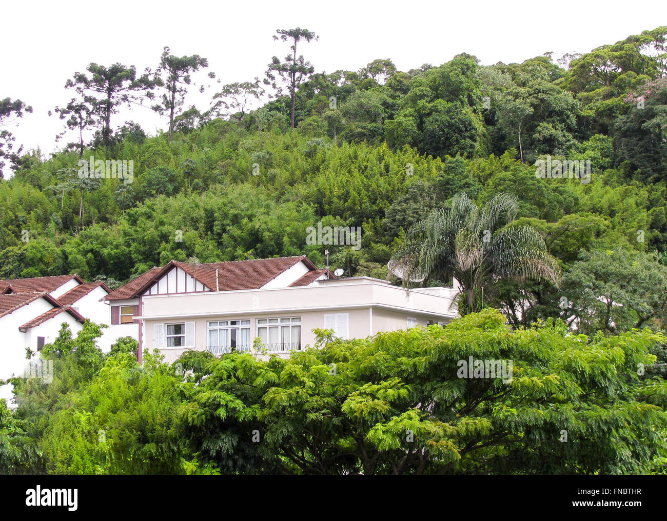 Spectacular tropical landscape in the middle of Brazil Stock Photo - Alamy