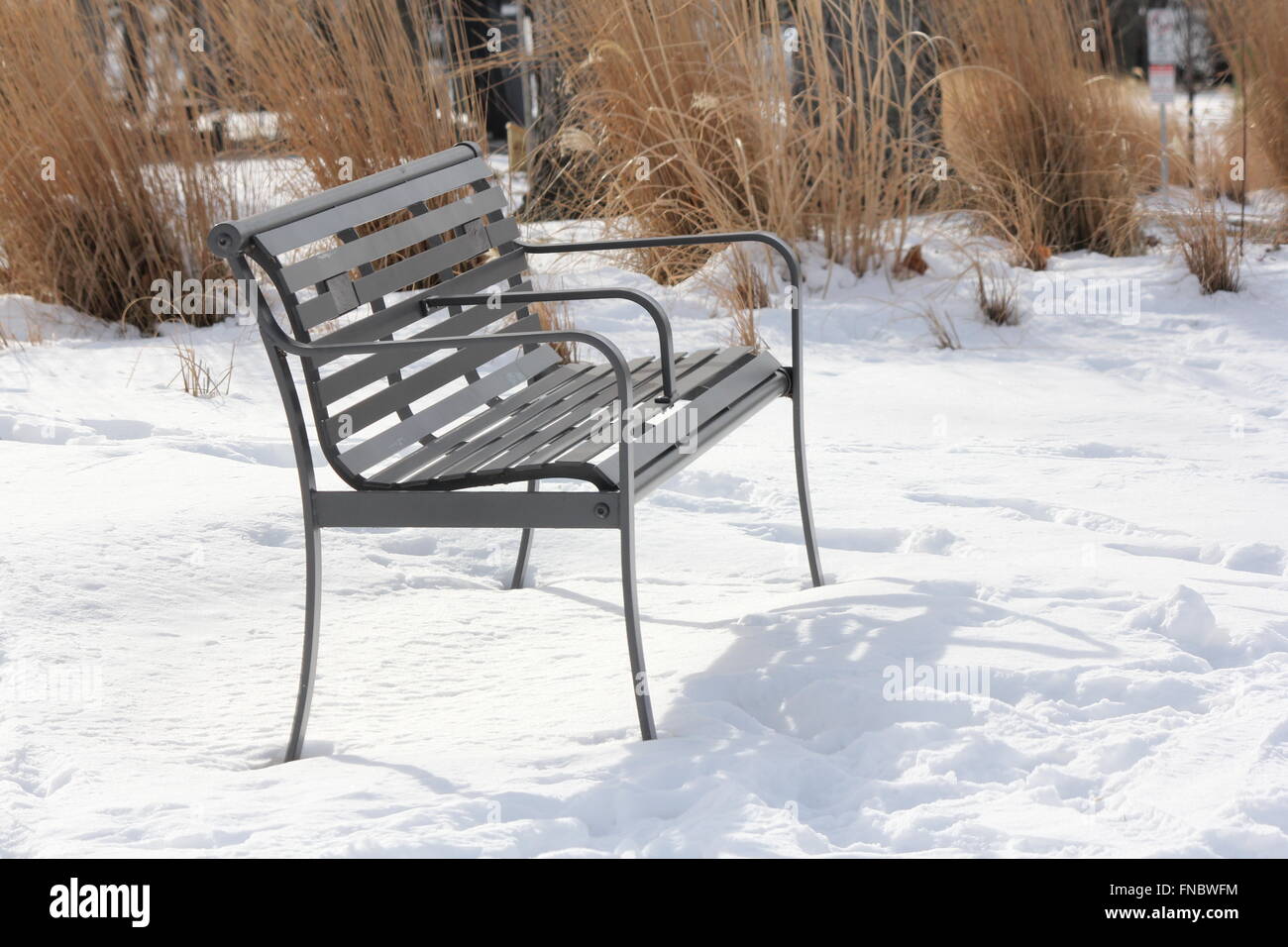Empty bench in park during hi-res stock photography and images - Alamy