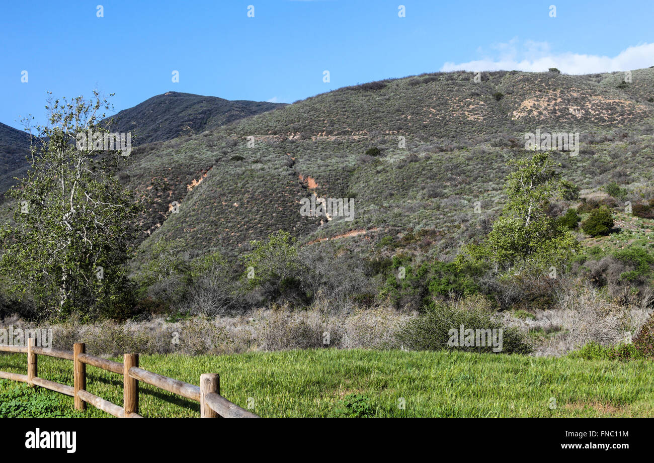 Hiker seen in distance walks down the ocean view trail at Zuma Canyon ...