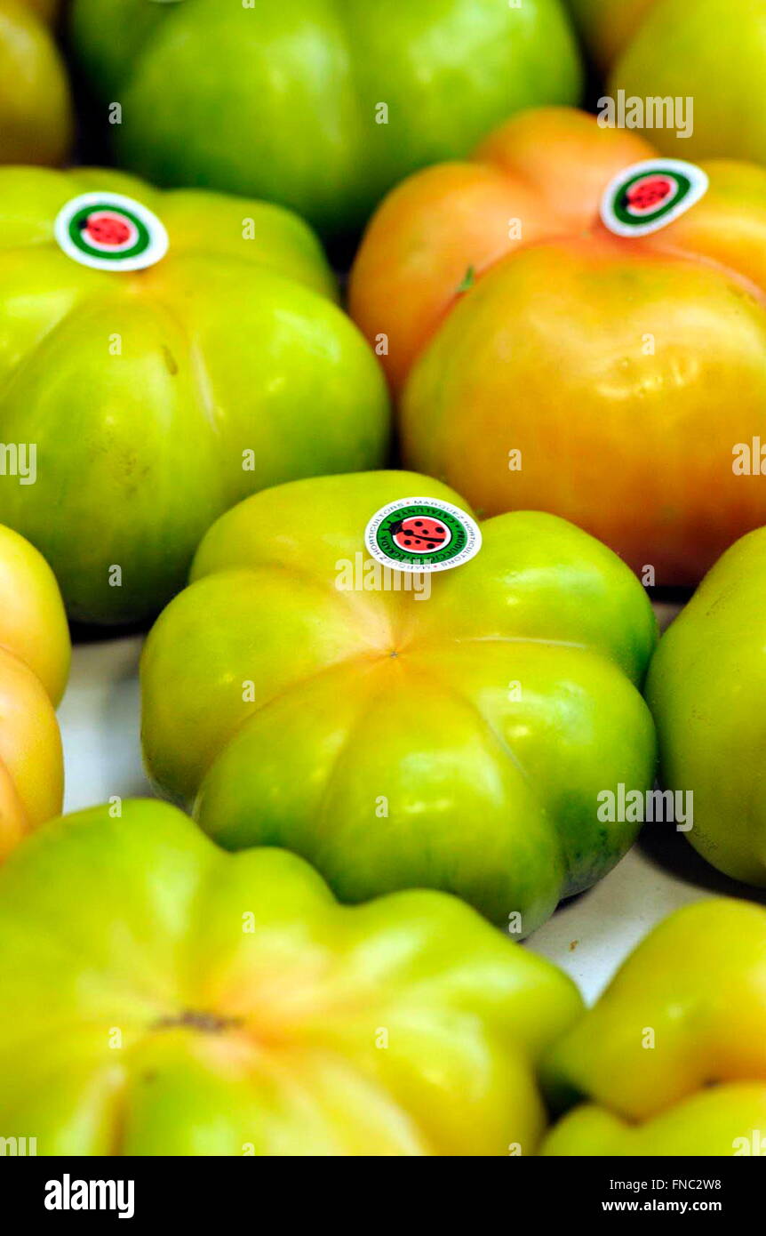 Tomatoes in La Boqueria market, Barcelona. Catalonia, Spain Stock Photo ...