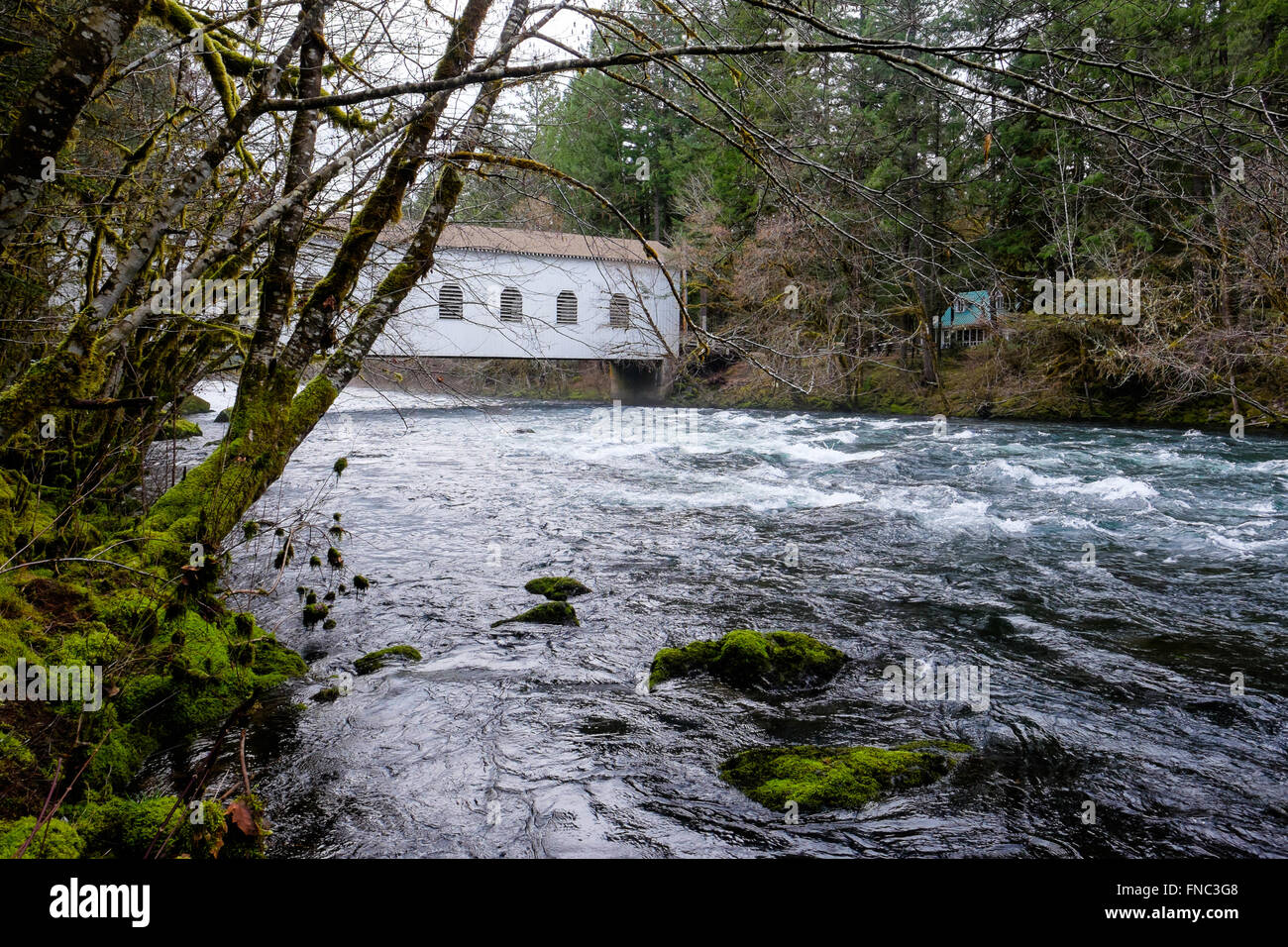 Historic Belknap Bridge over the Upper McKenzie River in the Willamette ...