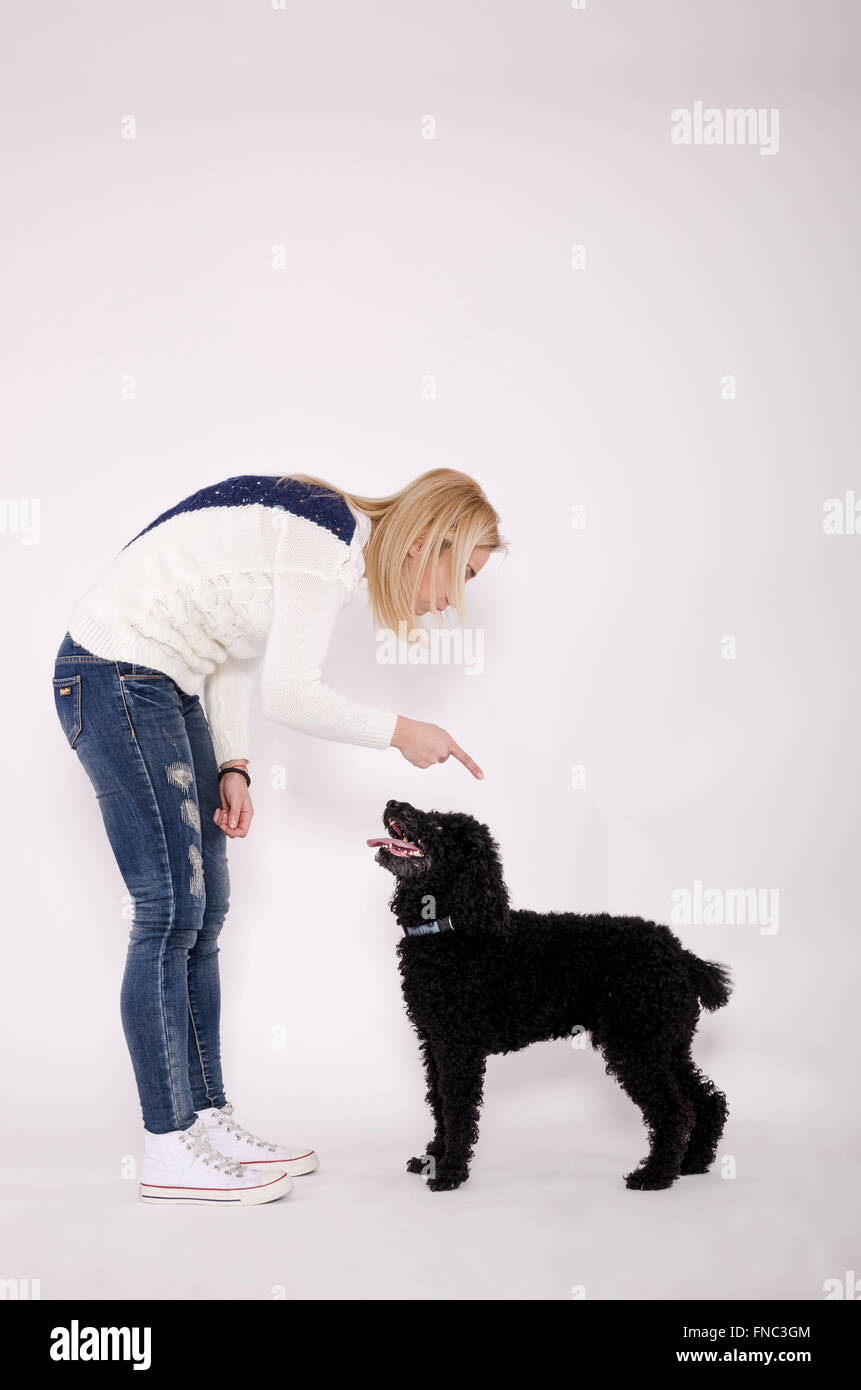 Poodle isolated black hi-res stock photography and images - Alamy