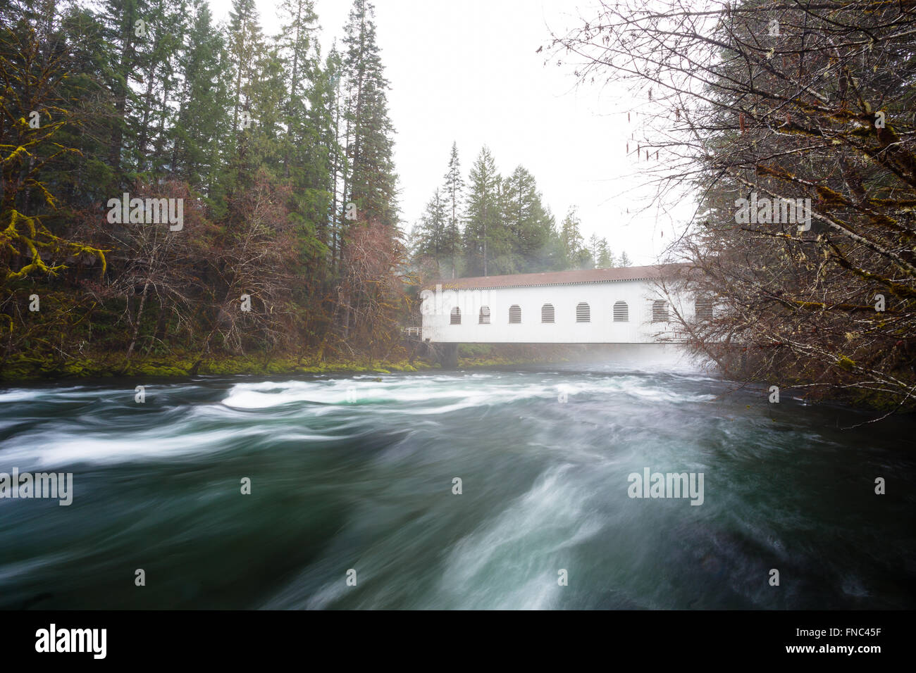 Historic Belknap Bridge over the Upper McKenzie River in the Willamette ...