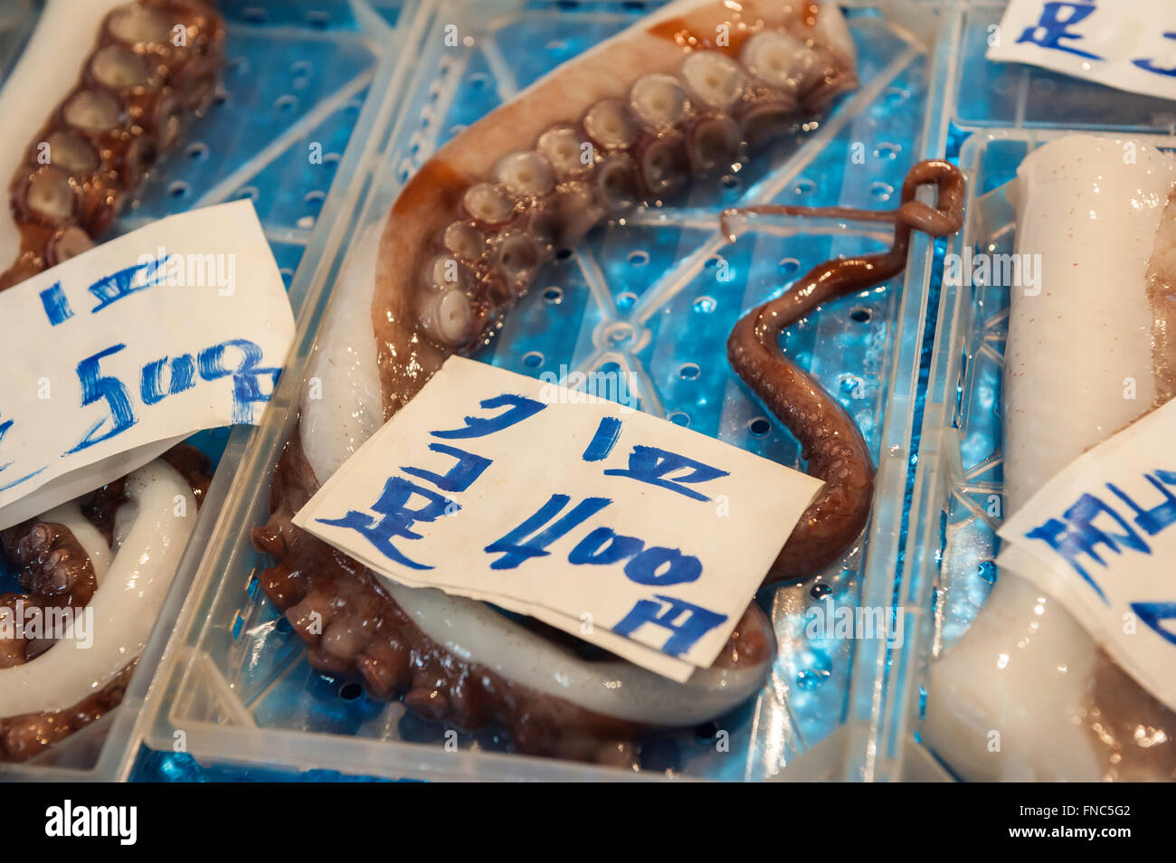 Animal octopus feeding hi-res stock photography and images - Alamy