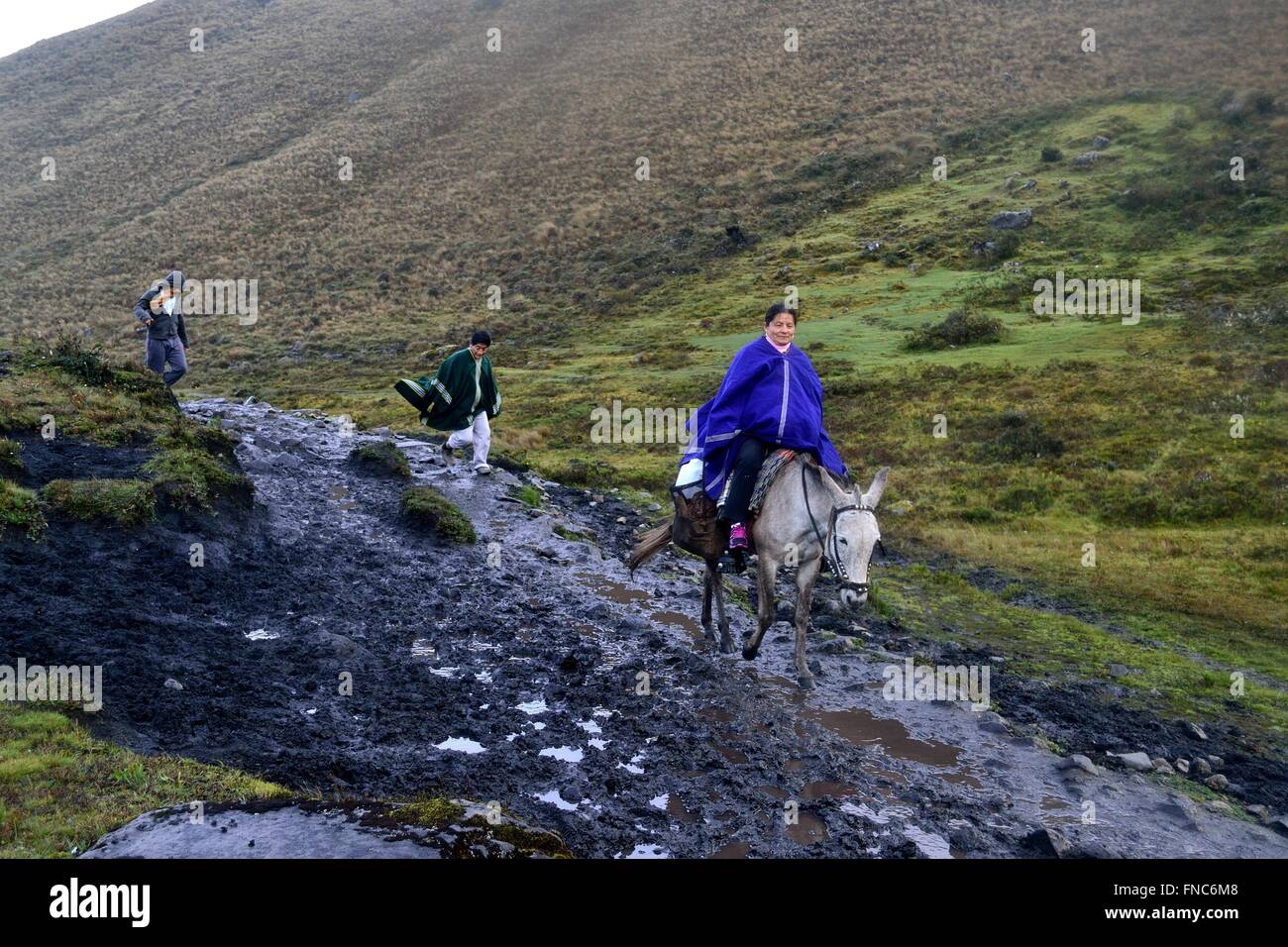 Way to Laguna Negra " Las Huaringas " in HUANCABAMBA. Department of ...
