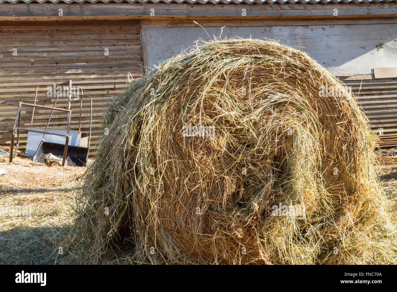 Haystack on the farm Stock Photo - Alamy