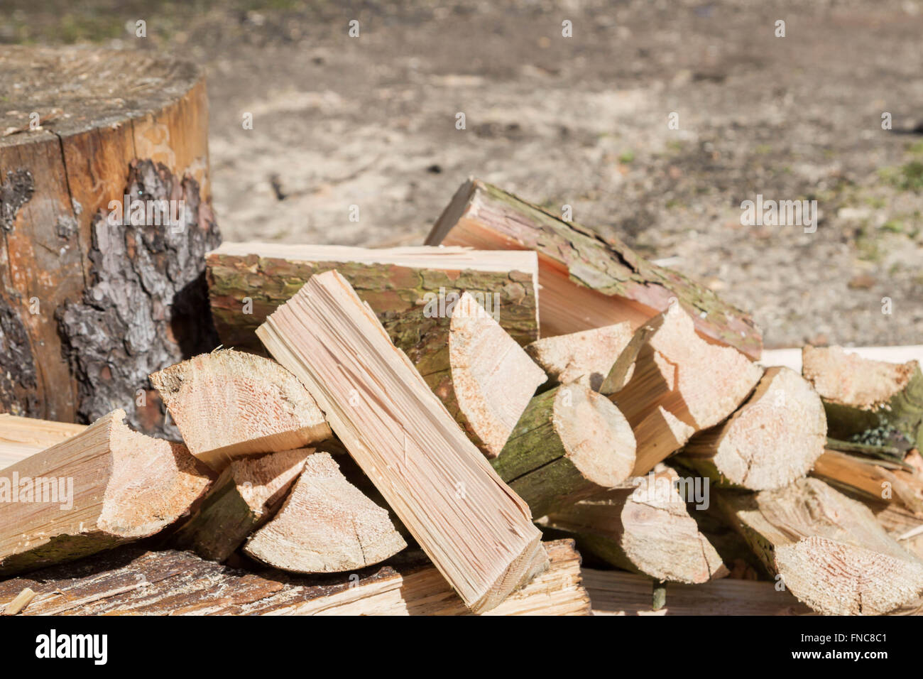 Sticks logs and firewood stacked Stock Photo - Alamy