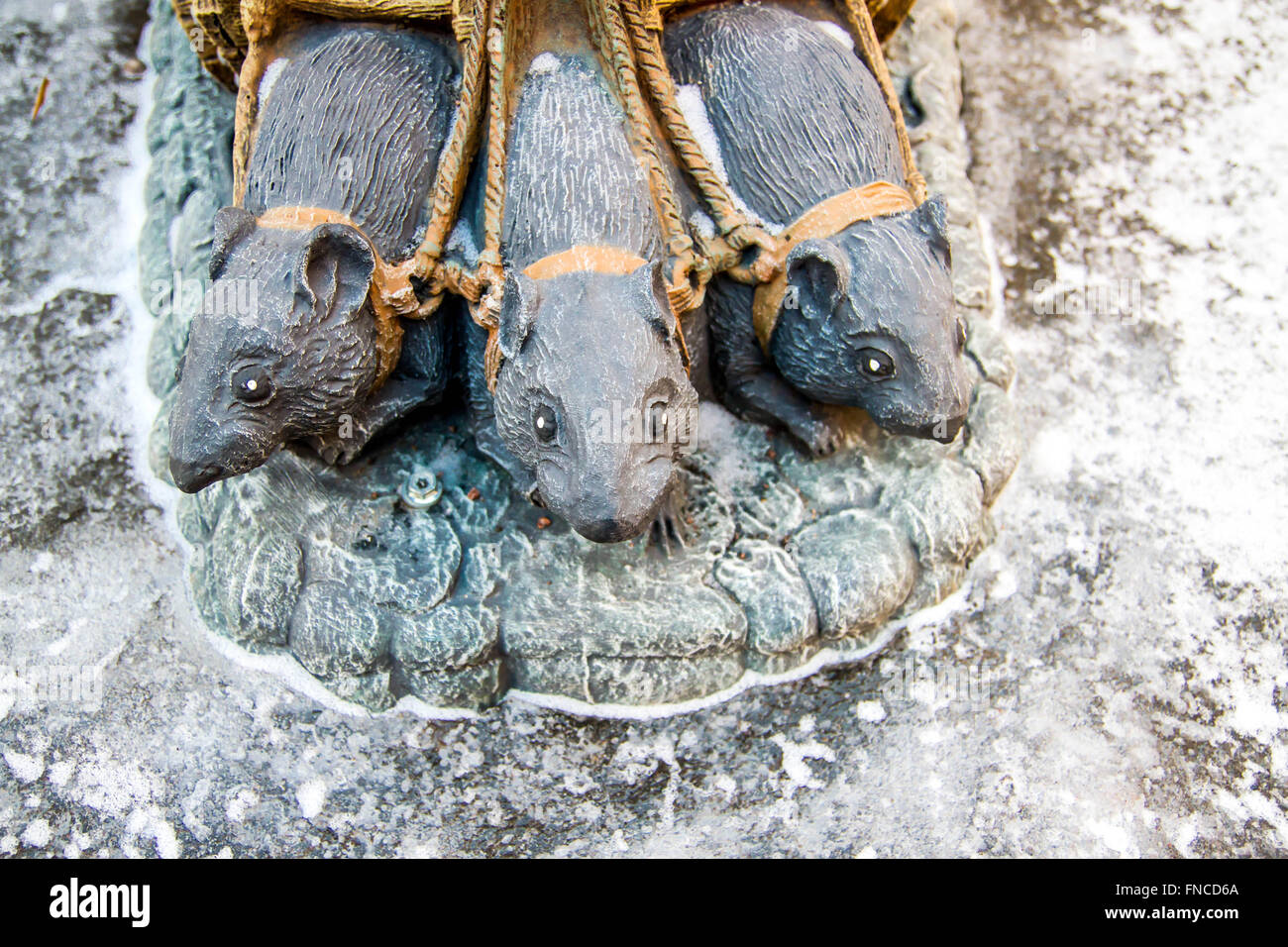 Gray mouse hi-res stock photography and images - Alamy