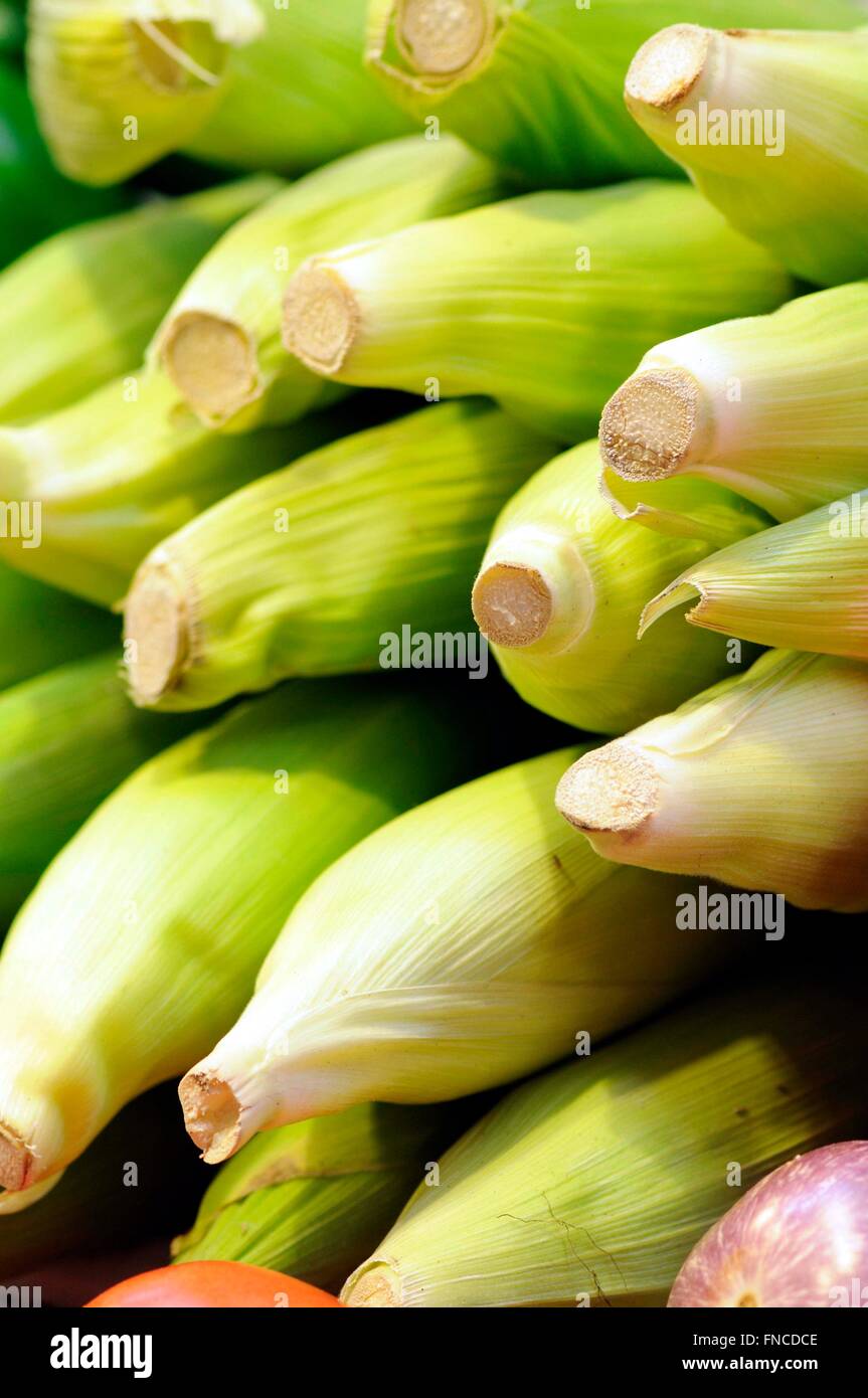 Corn cobs in the Sant Josep market (aka La Boqueria), Barcelona ...