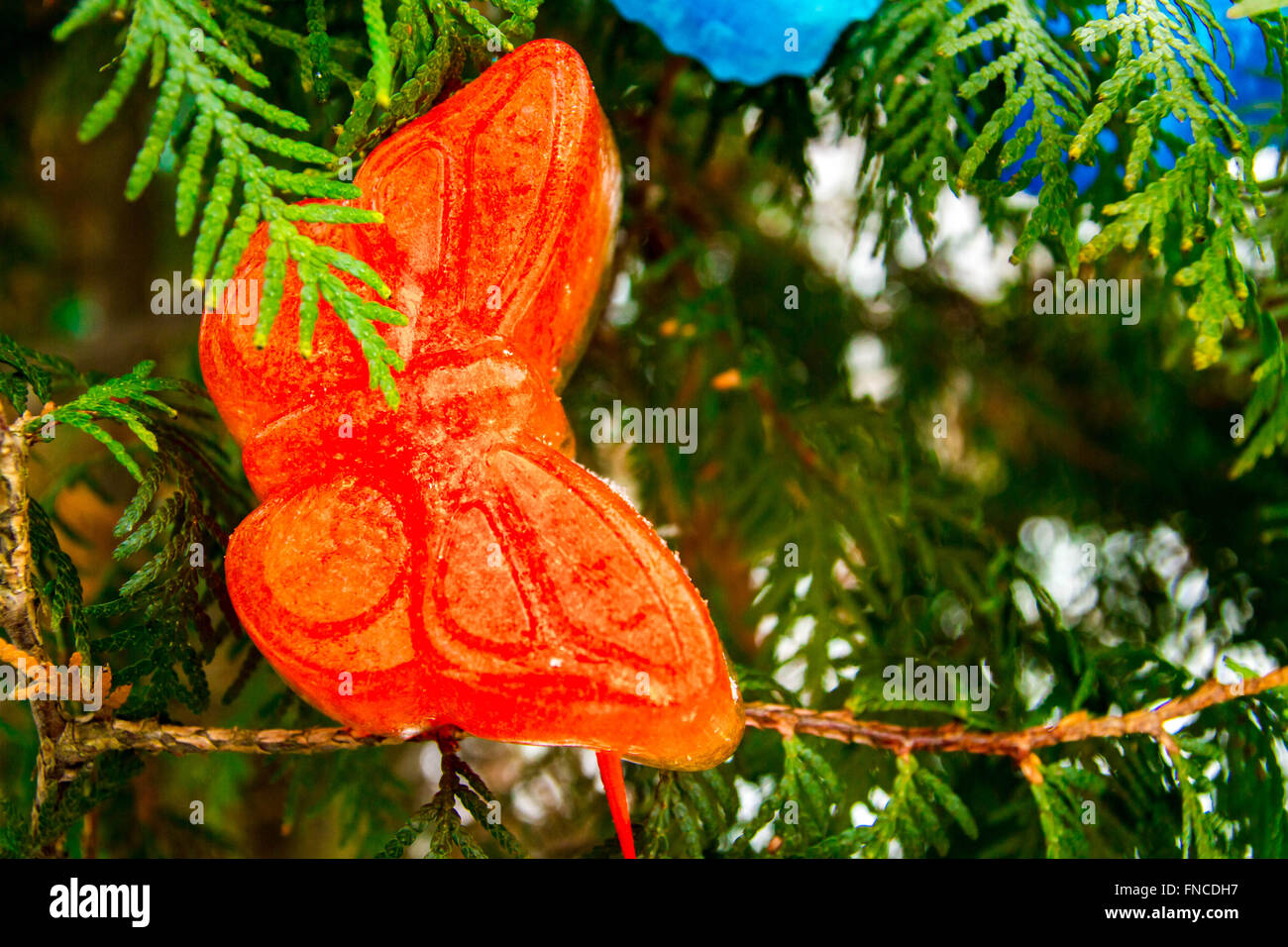 Ice butterfly hi-res stock photography and images - Alamy