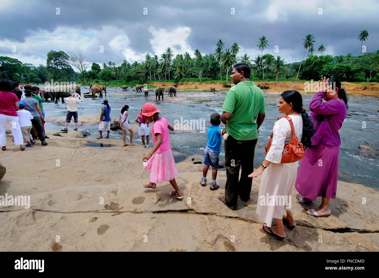 Elephant orphanage, Pinnawala, Sri Lanka Stock Photo - Alamy
