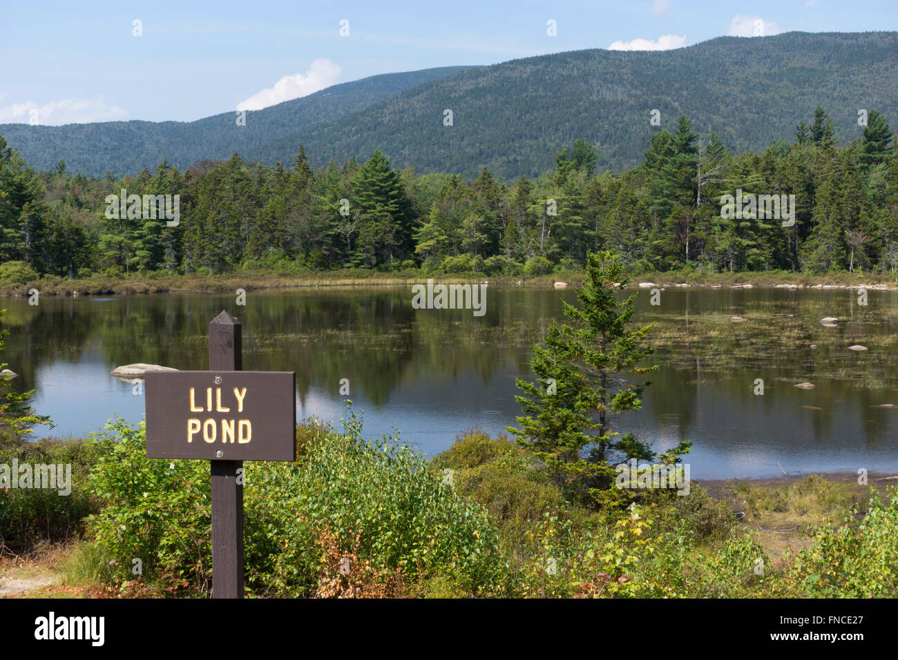 The Lily Pond, on the Kancamagus Highway, White Mountain National ...