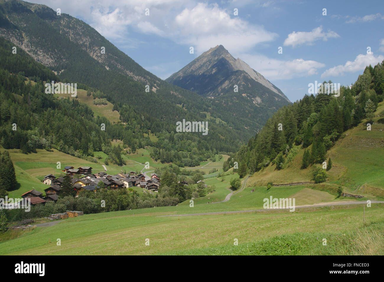 The val ferret hi-res stock photography and images - Alamy