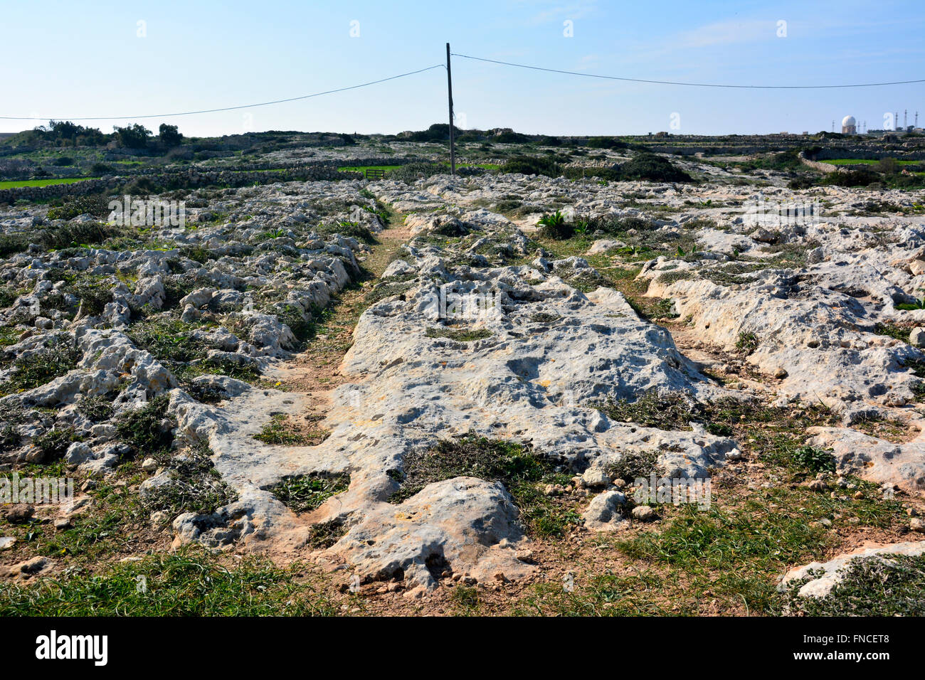 Cart ruts in Malta Stock Photo - Alamy