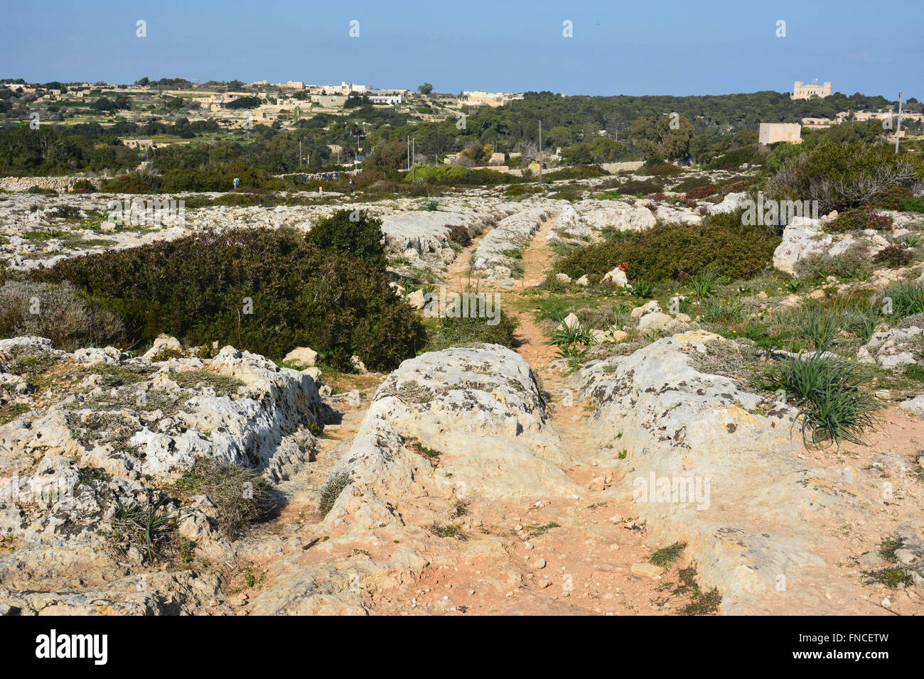 Cart ruts in Malta Stock Photo - Alamy