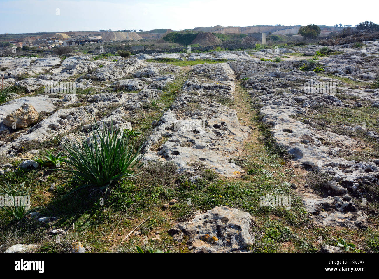 Mysterious cart ruts hi-res stock photography and images - Alamy