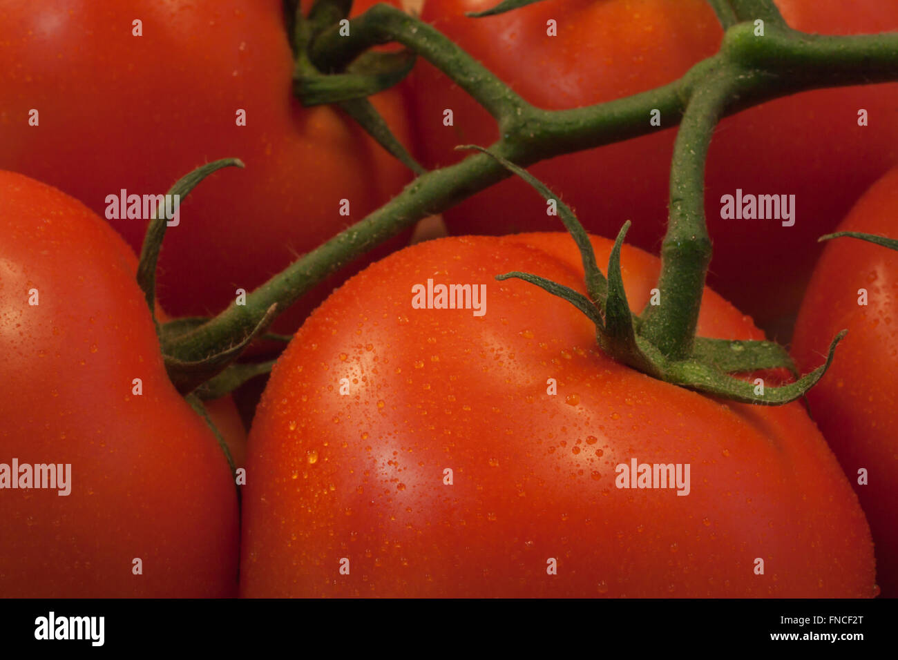 Vine ripe Tomatoes Stock Photo - Alamy