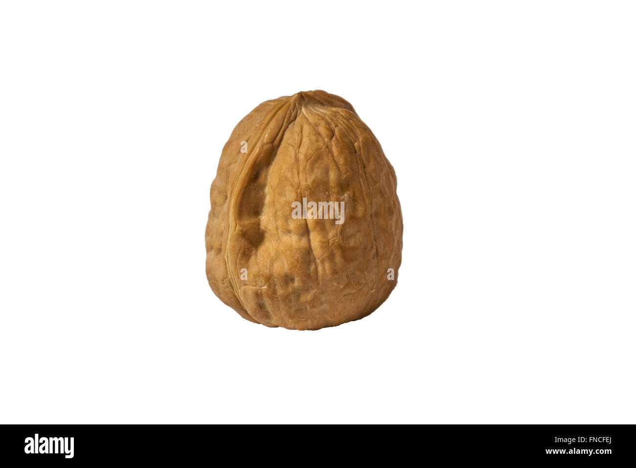 Walnuts in their shells hi-res stock photography and images - Alamy