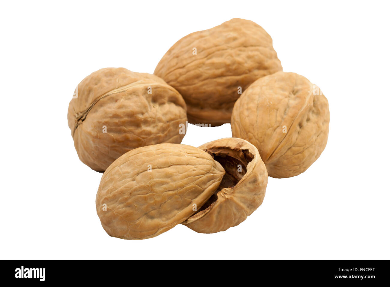Walnuts shells hi-res stock photography and images - Alamy