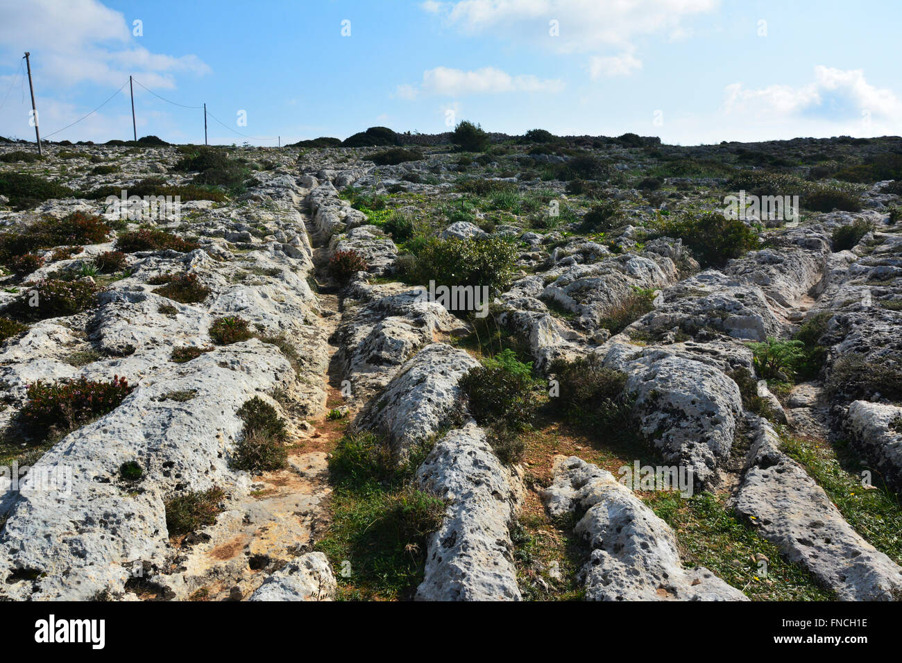 Cart ruts hi-res stock photography and images - Alamy