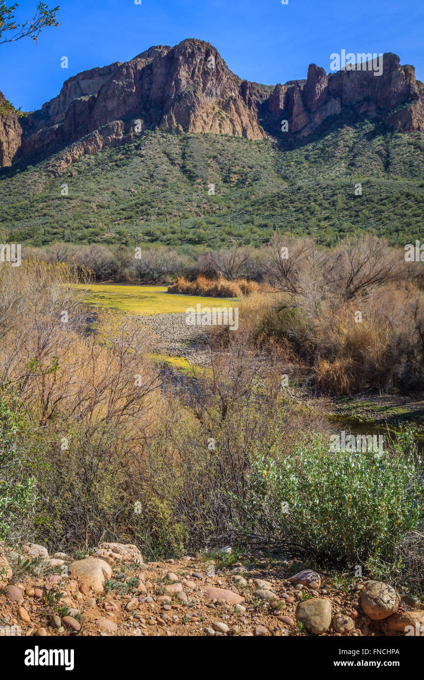 American desert landscape Stock Photo - Alamy