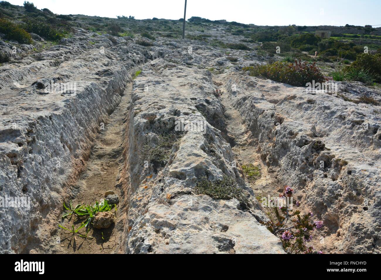 Cart ruts in Malta Stock Photo - Alamy