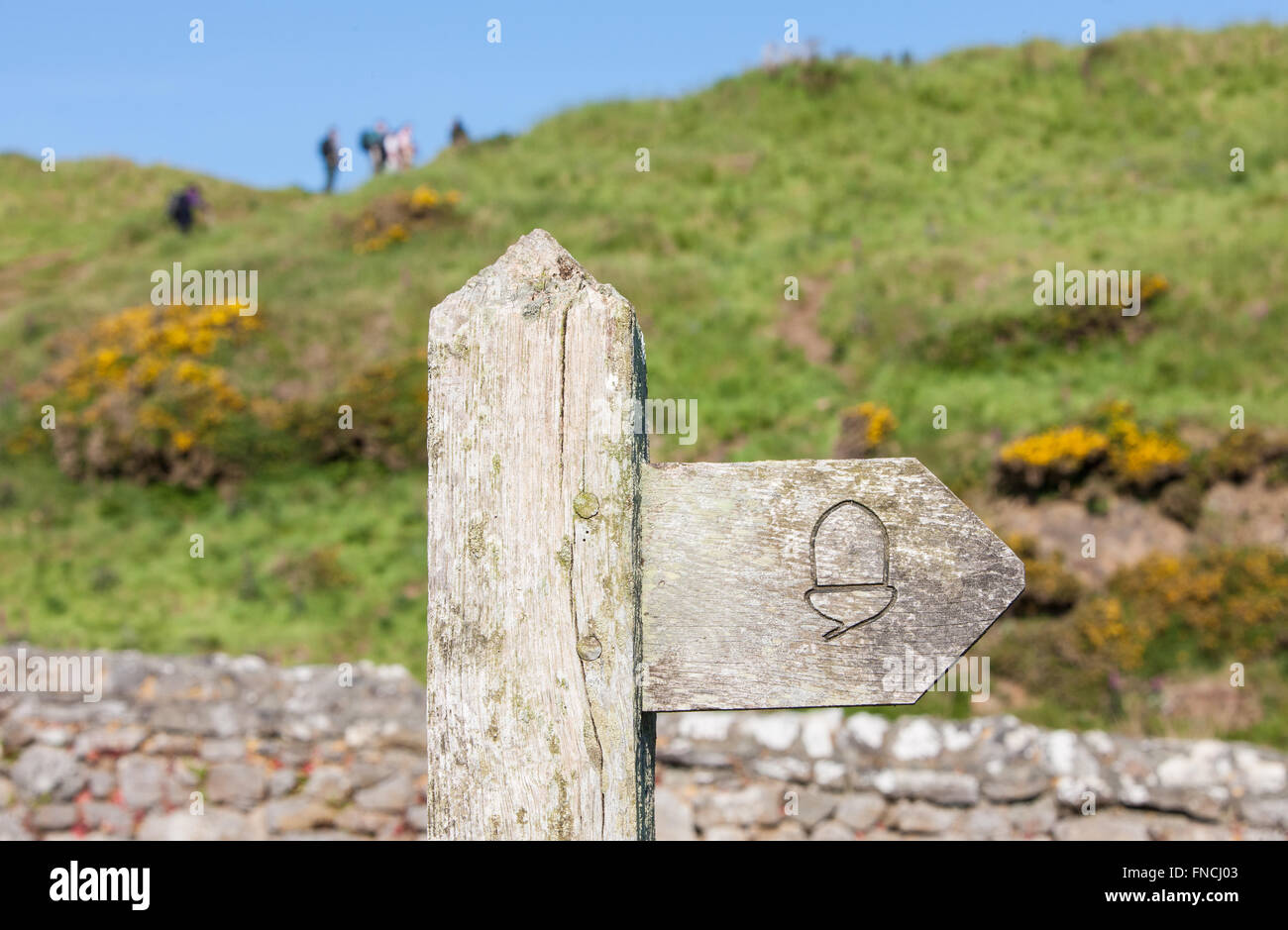 Acorn symbol for a National Trail on a fingerpost and hikers on hill in ...