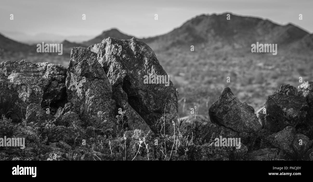 American desert landscape Stock Photo - Alamy
