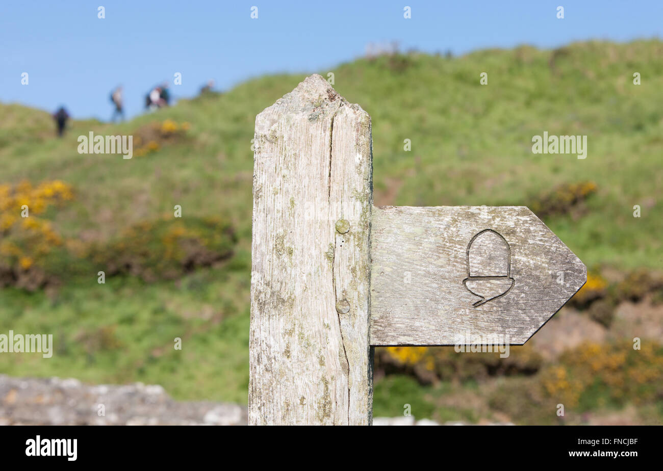 Acorn symbol for a National Trail on a fingerpost and hikers on hill in ...
