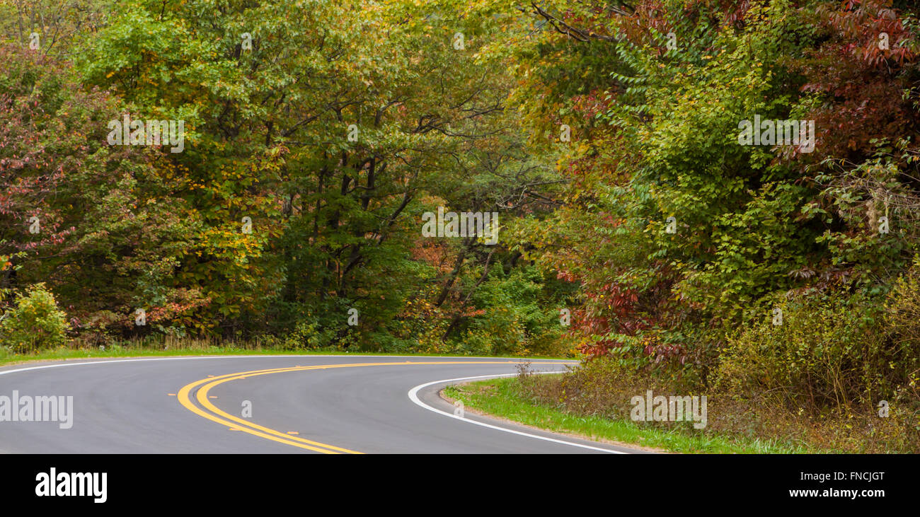 fall foliage road way Stock Photo - Alamy