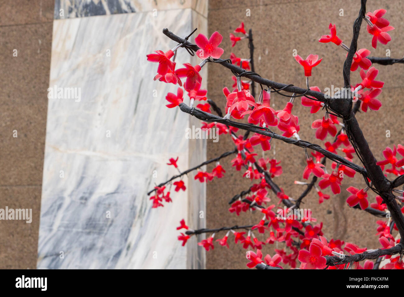 Street red luminous decorative tree Stock Photo - Alamy