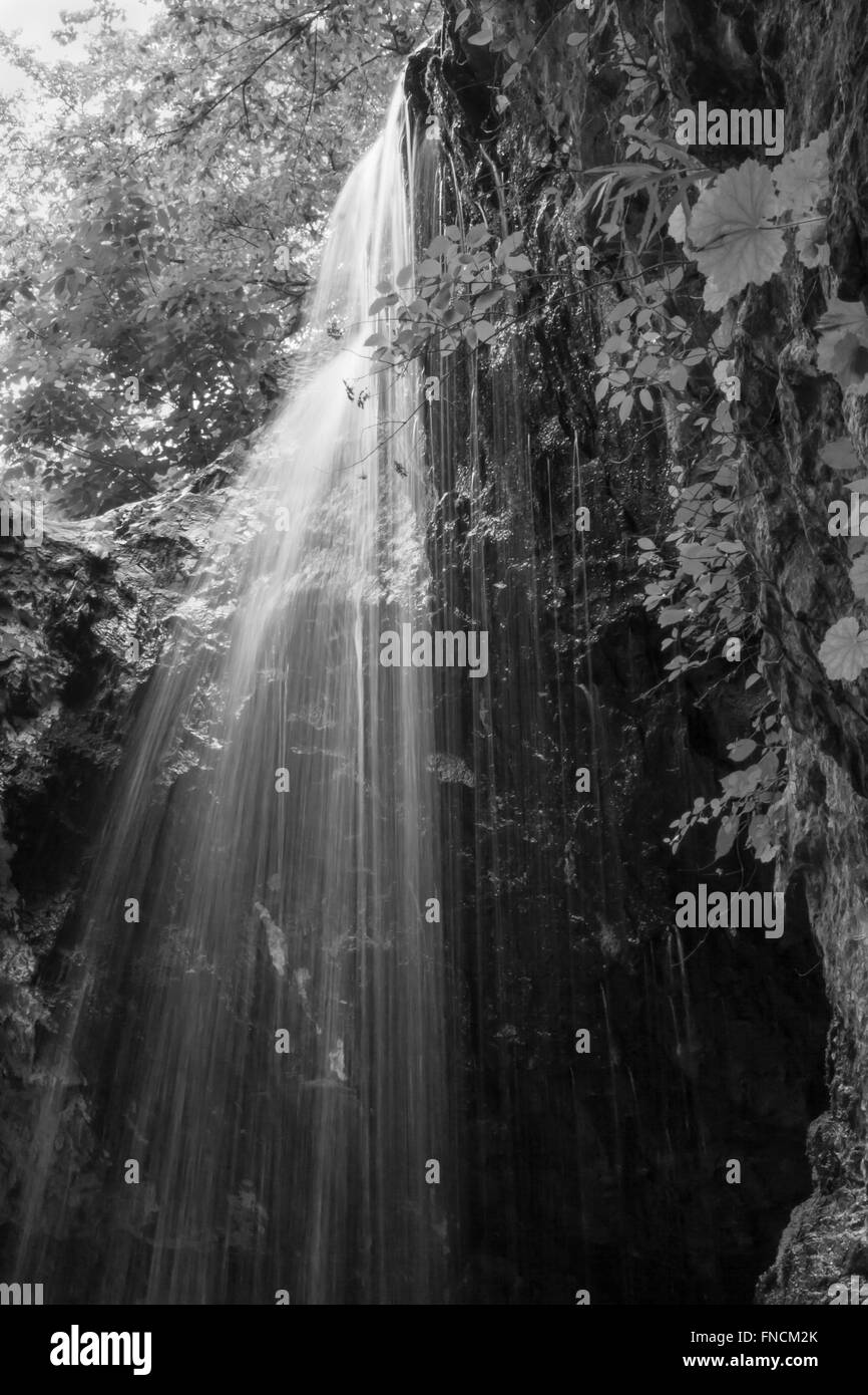 Tree and waterfall Black and White Stock Photos & Images - Alamy
