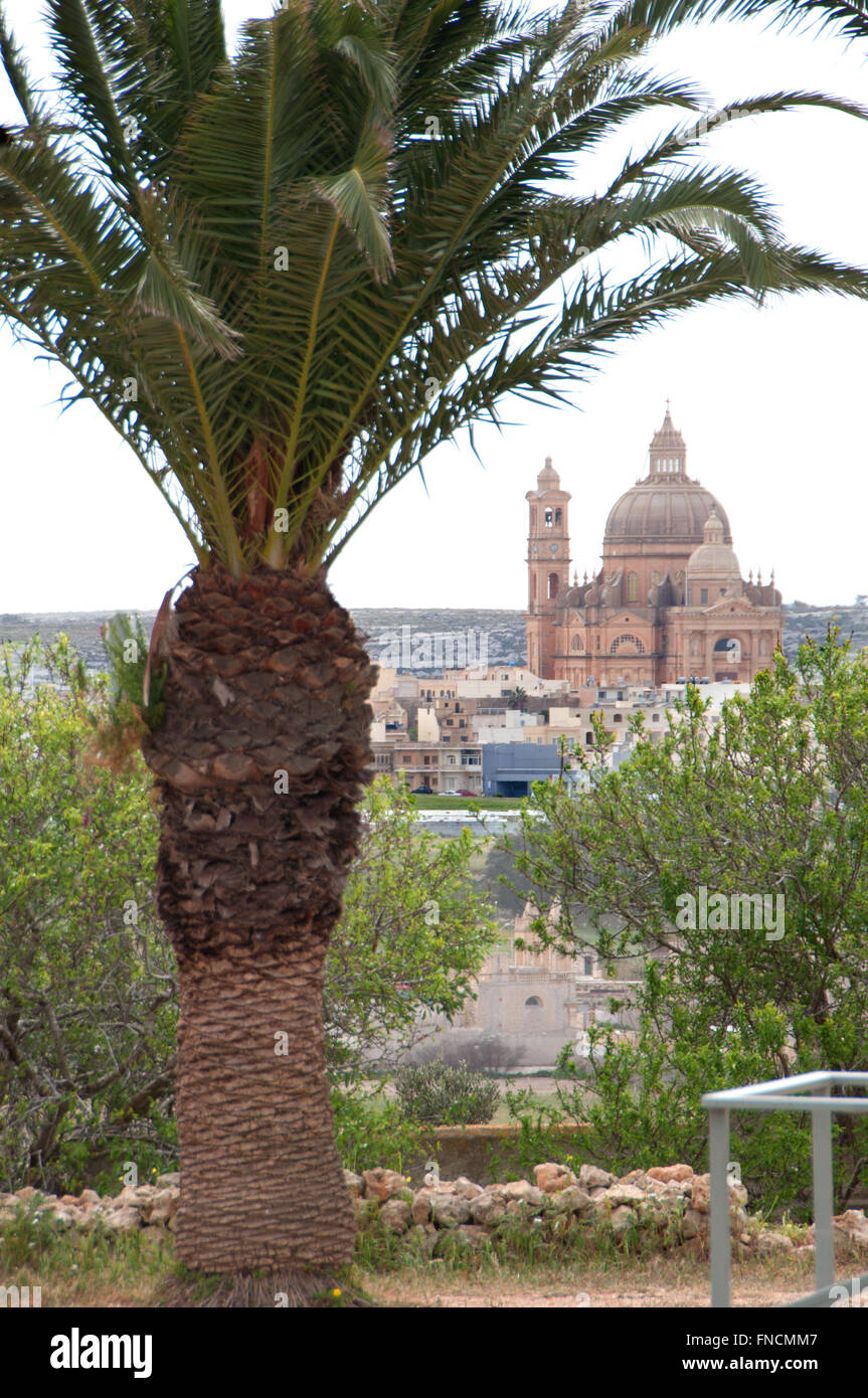 Palm trees malta hi-res stock photography and images - Alamy