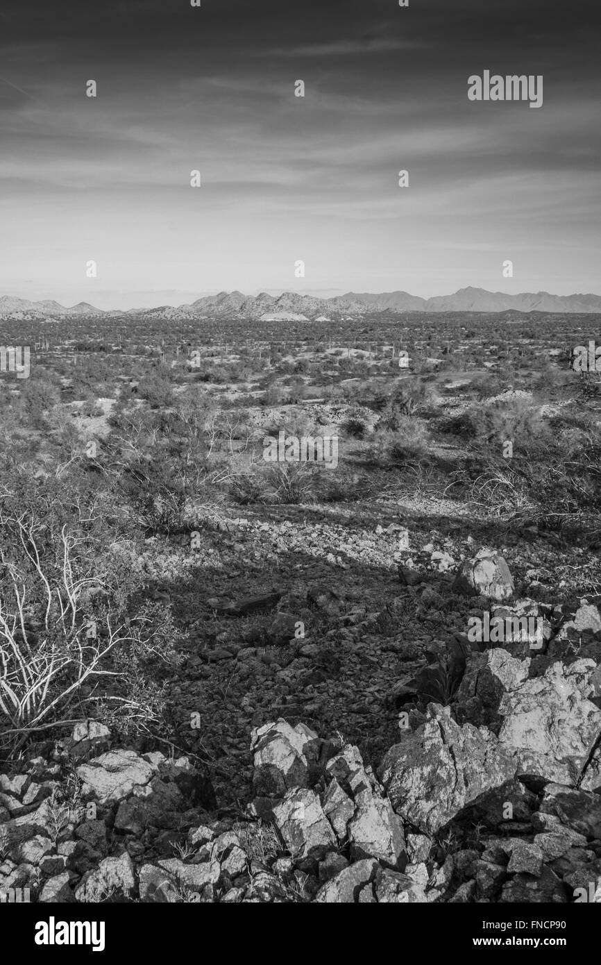 American desert landscape Stock Photo - Alamy